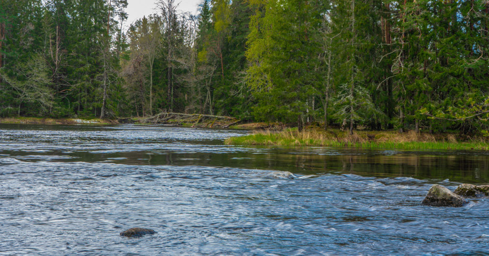 Wild Scandinavia: 10 Reasons Why You Should Travel Through Sweden's ...