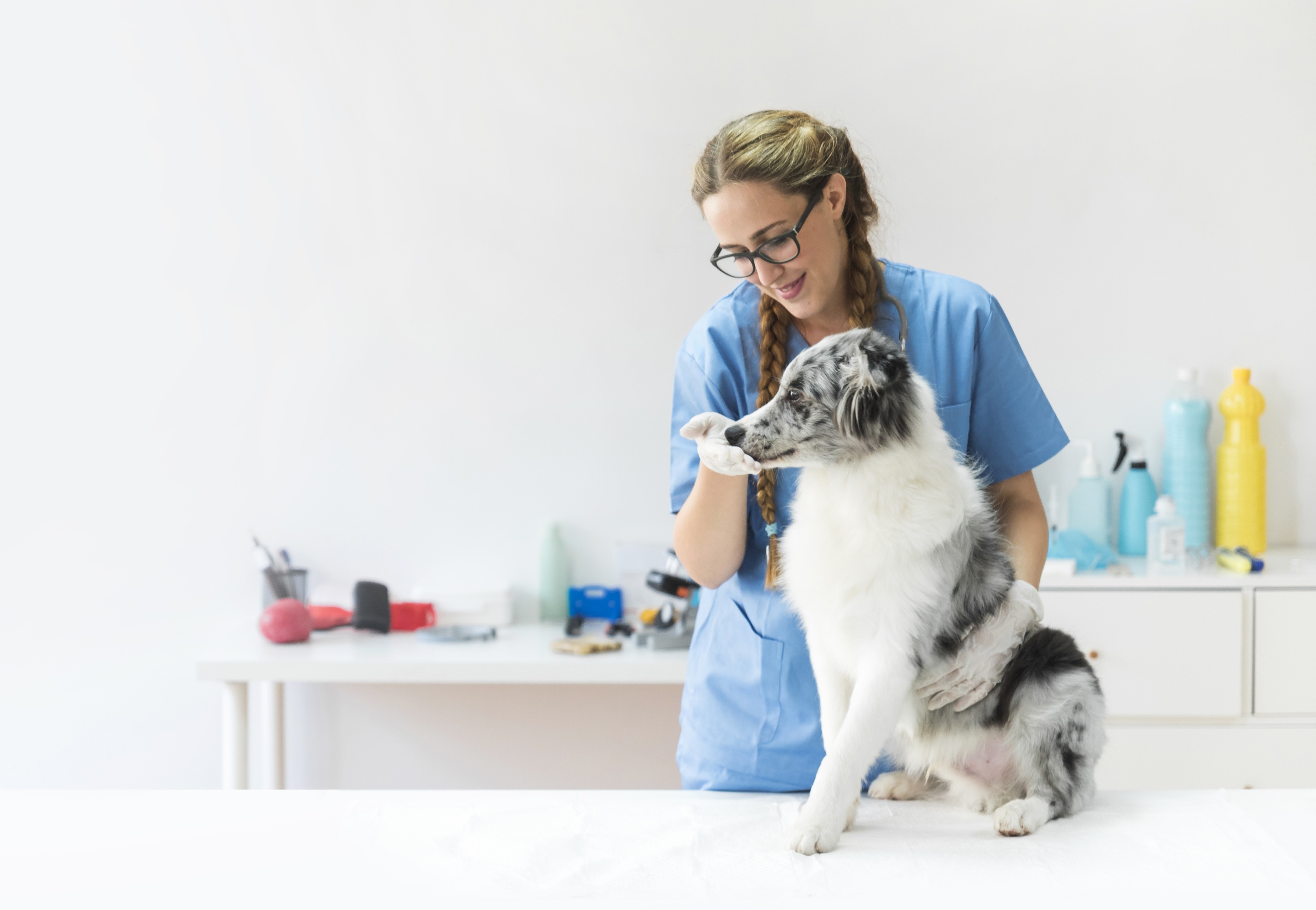VoiceTyper Medical Dictation Software - Finish Work On Time