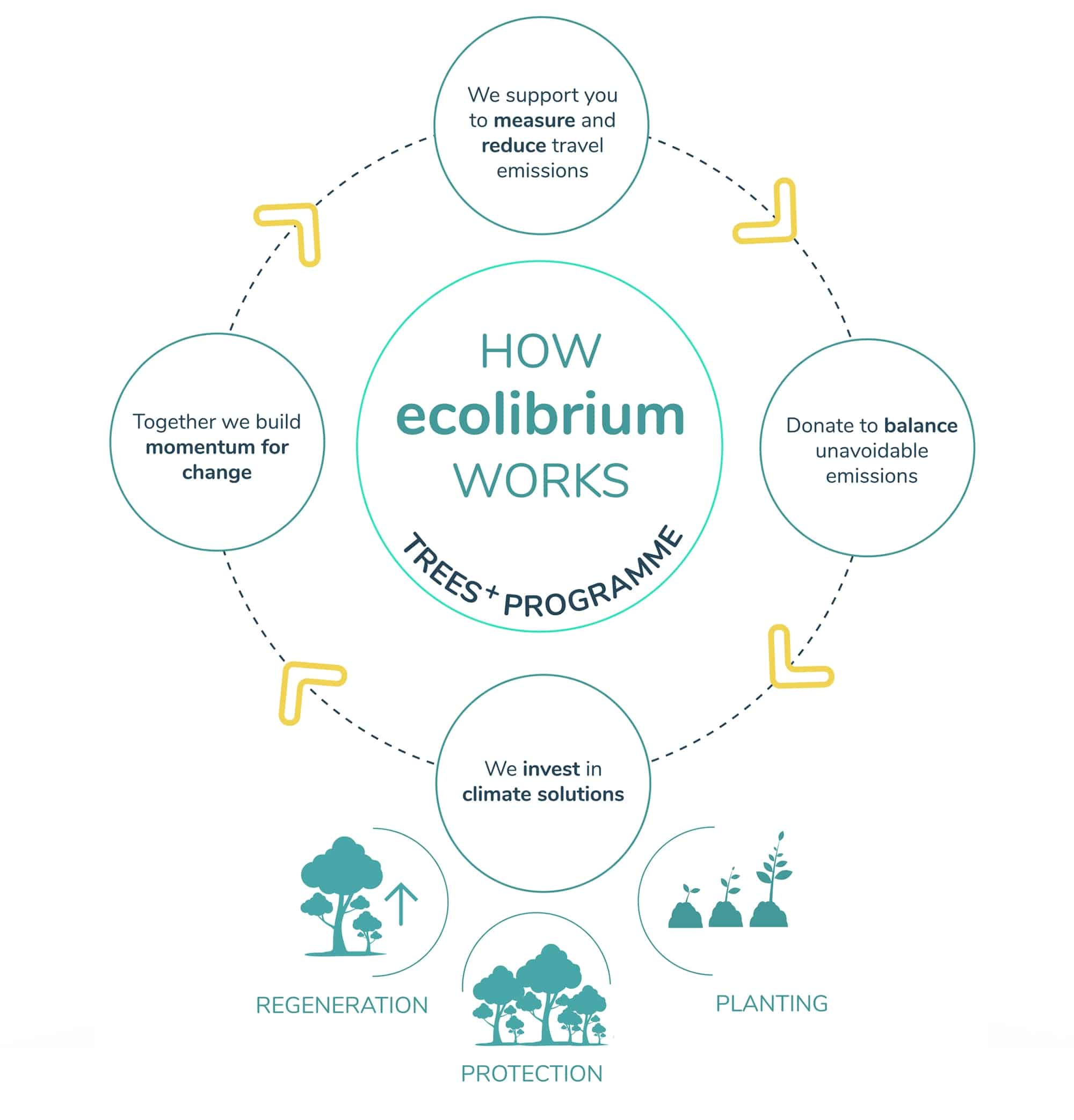 Ecolibrium