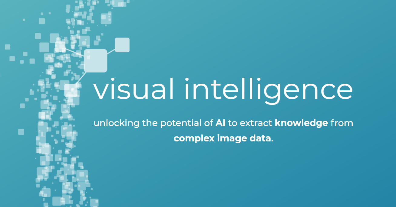 People - SFI Visual Intelligence