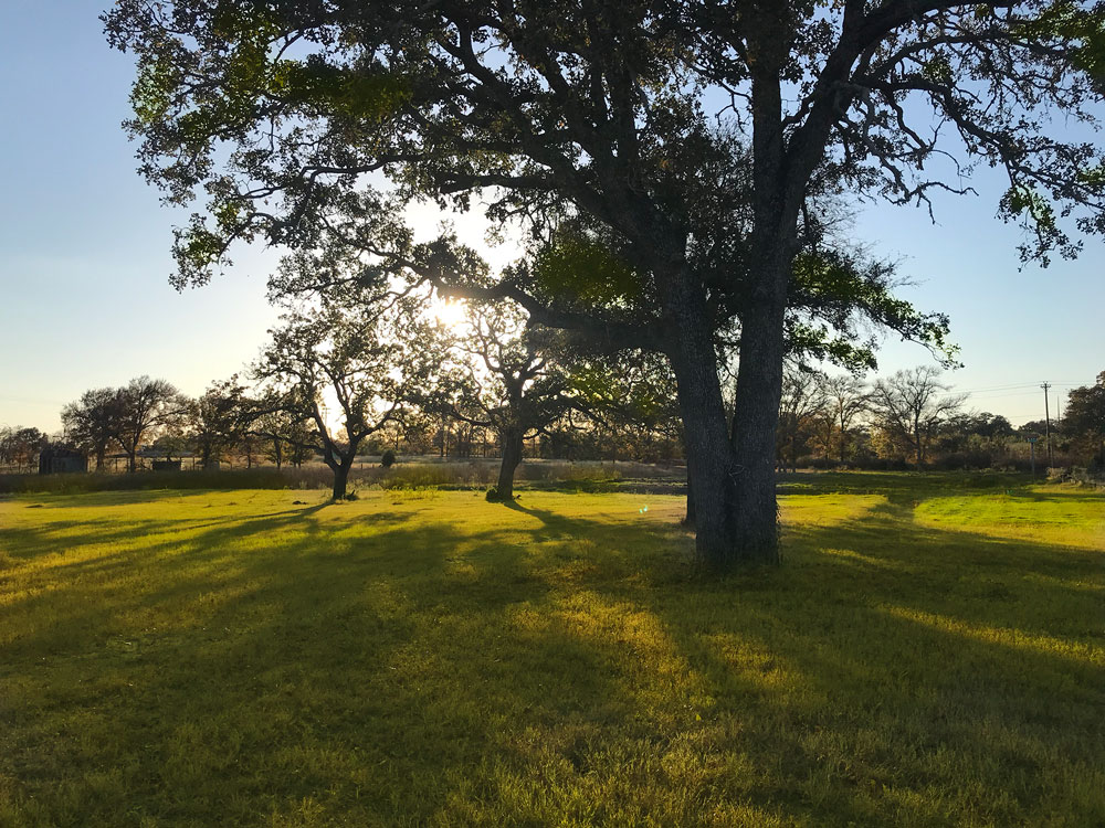 Austonia RV Park in Austin Texas