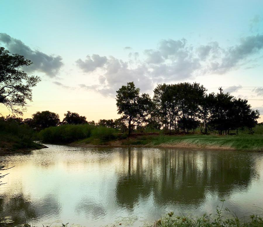 Amenities at Austonia RV Resort & Community