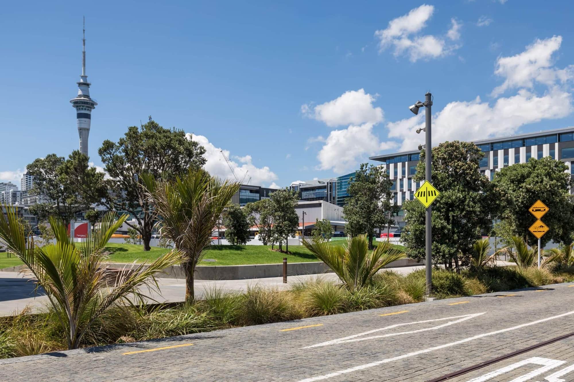 Daldy Street - Wynyard Quarter | Projects | ScapeSpec NZ