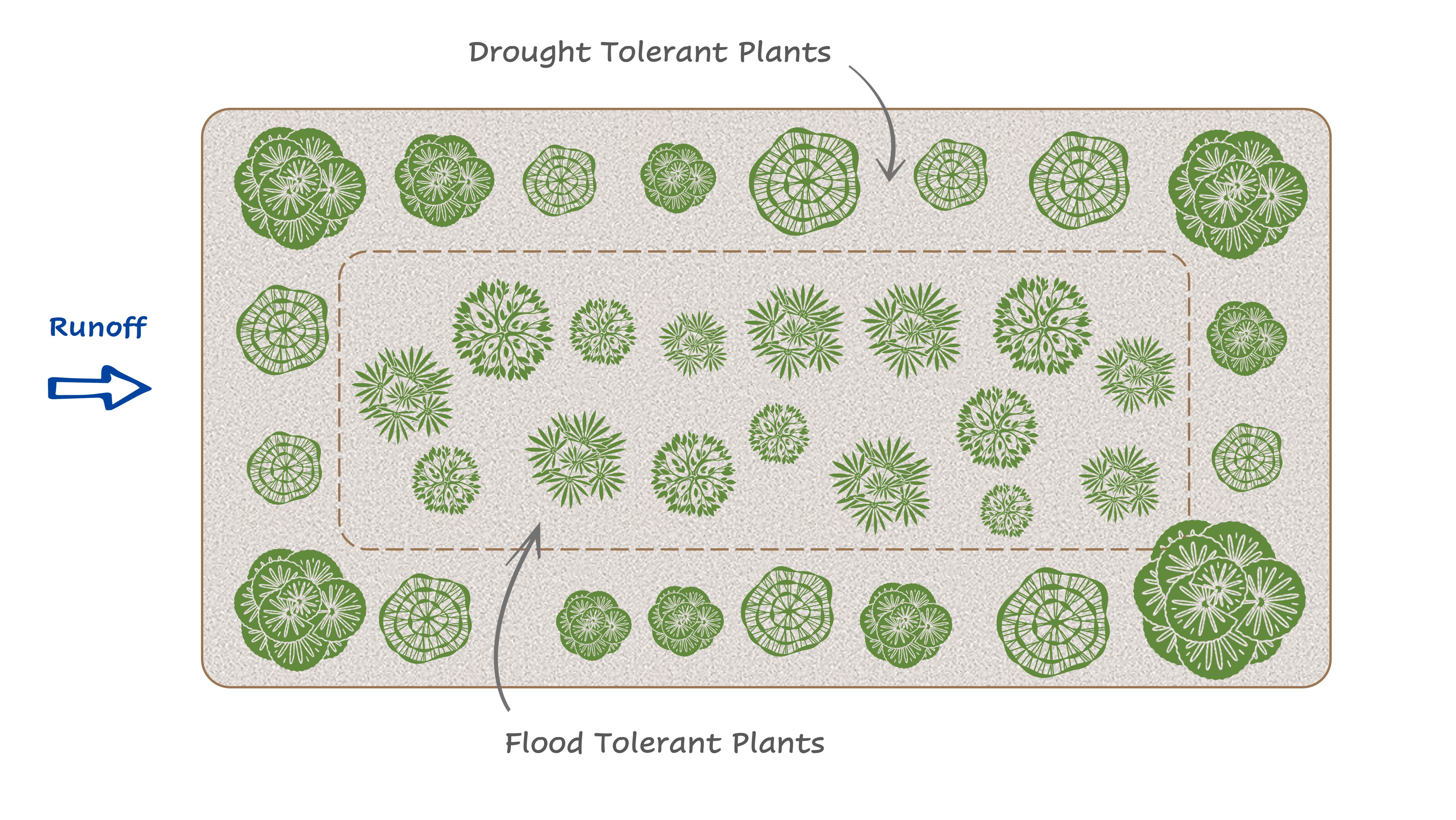 Raingarden DIY: For Homeowners | SpecStuff | ScapeSpec NZ