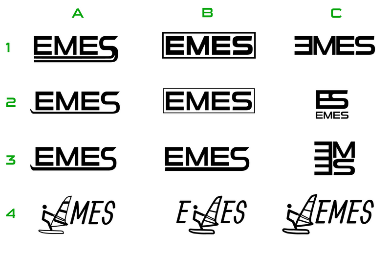 EMES Case Study