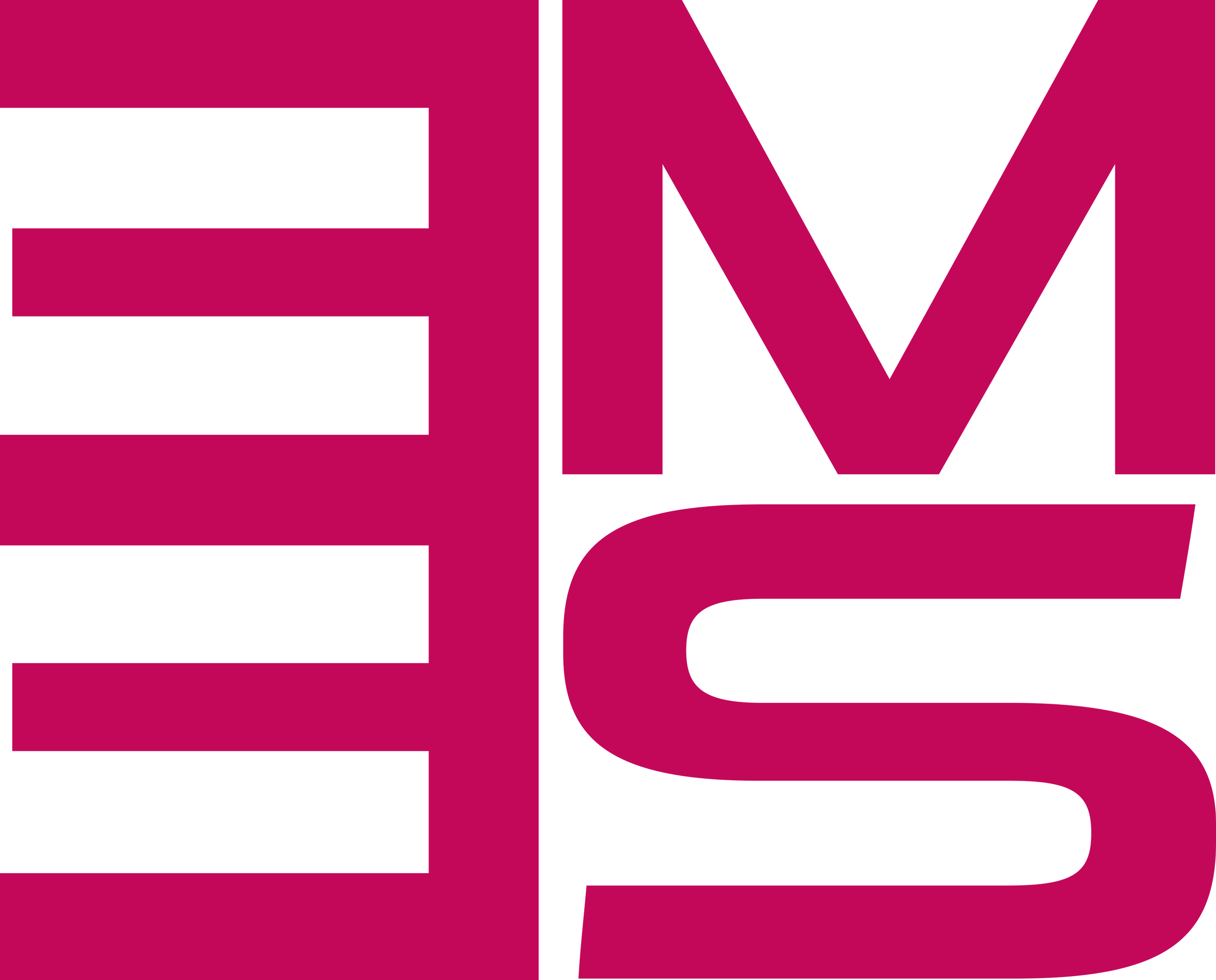 EMES Case Study