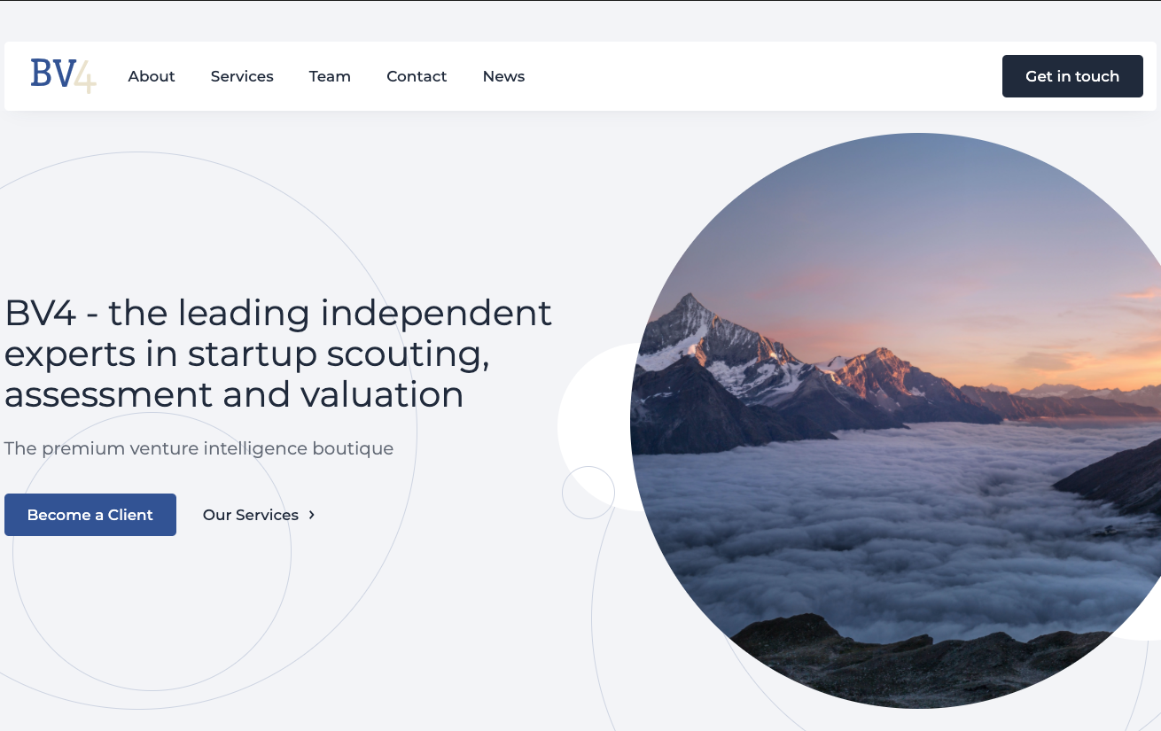 BV4 - Venture Intelligence Boutique