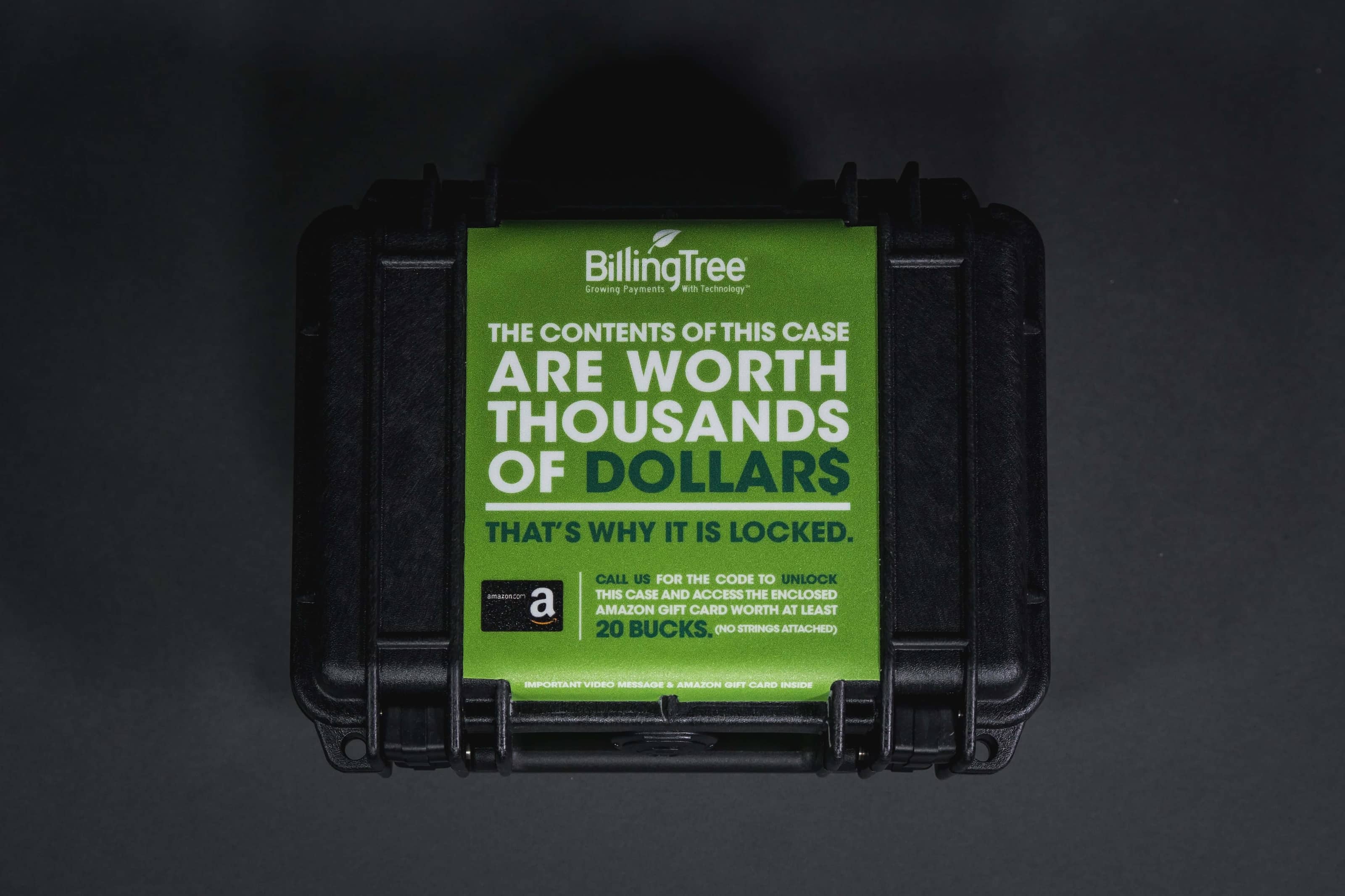 B2B Direct Marketing Campaign for BillingTree Payments