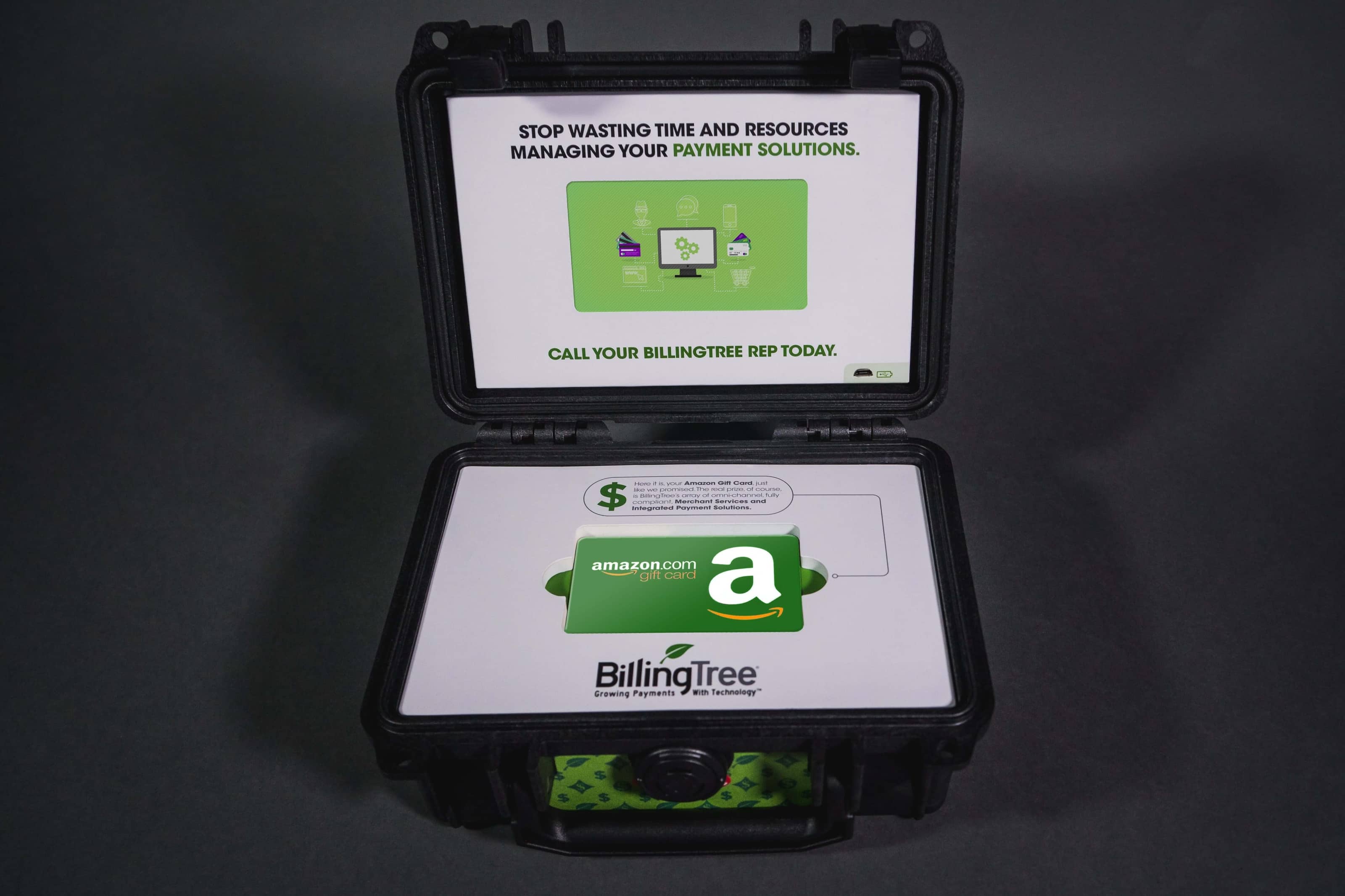 B2B Direct Marketing Campaign for BillingTree Payments