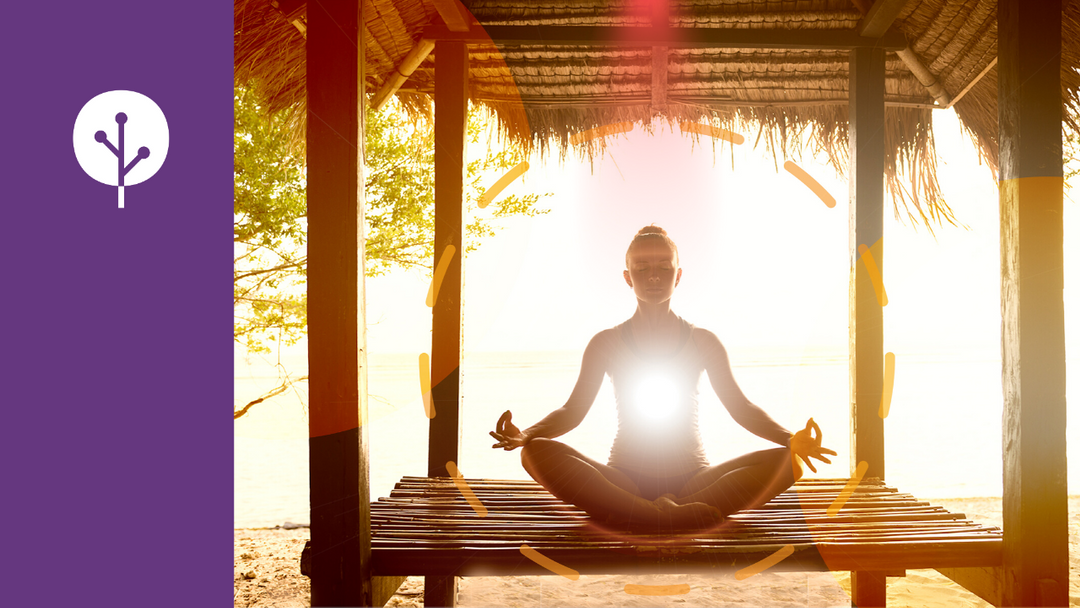 Light Tree Ventures blog - Light Meditation : Incorporating Meditation ...