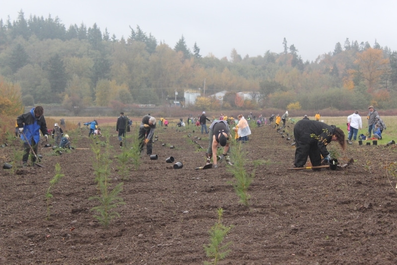 Washington State Conservation Commission