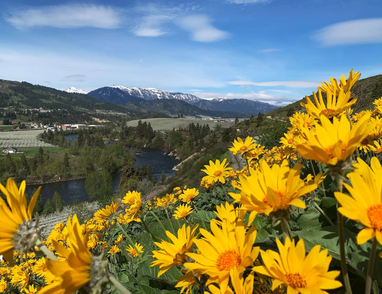 Washington State Conservation Commission | Partnering with you to ...