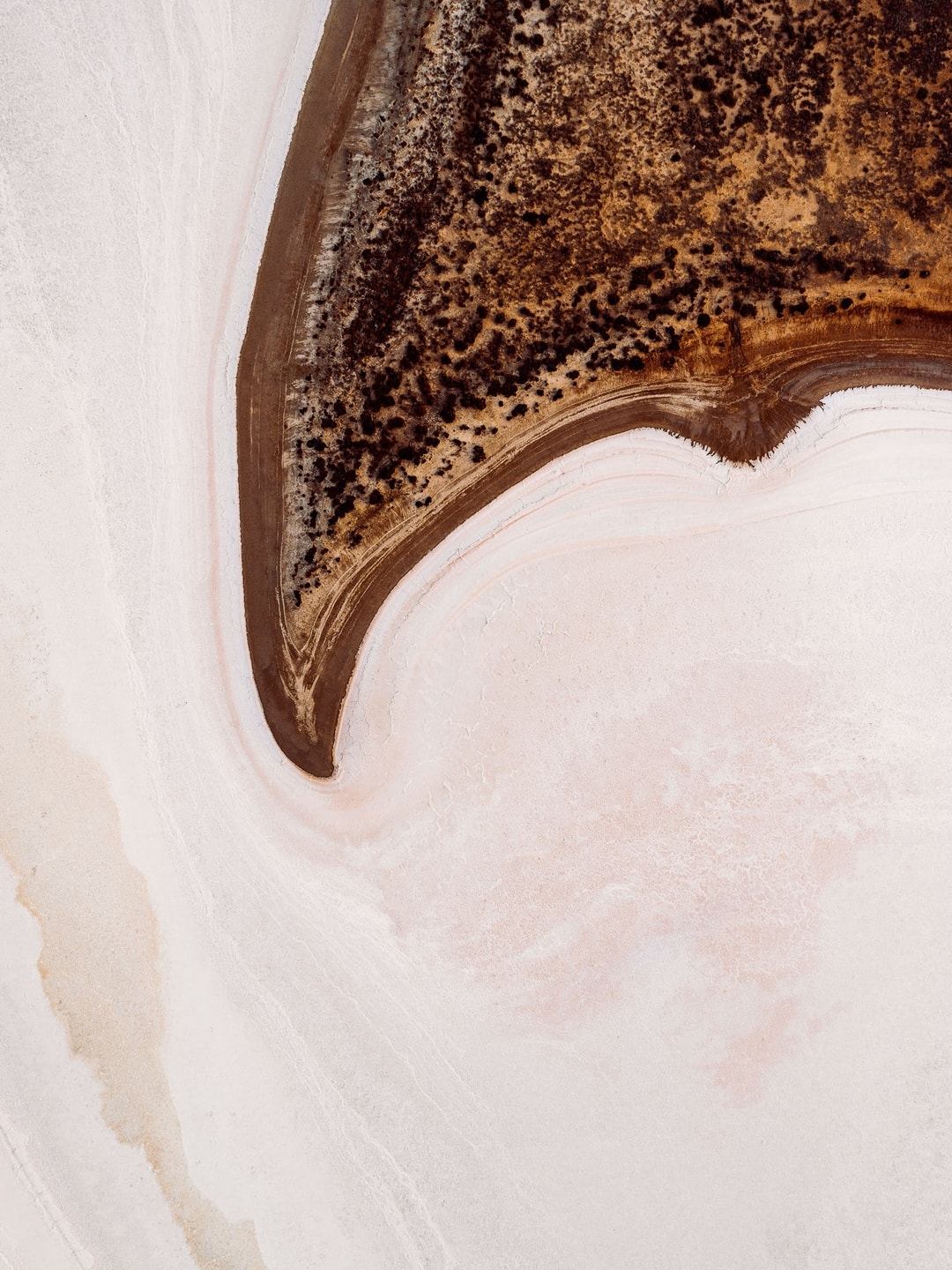 The Salt Pans Series