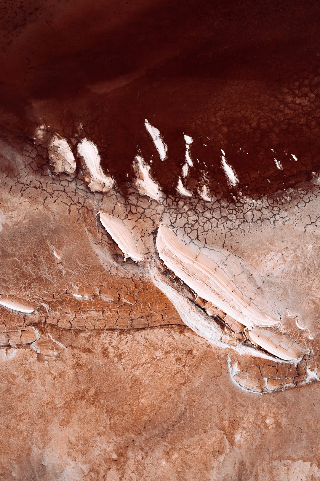 The Salt Pans Series