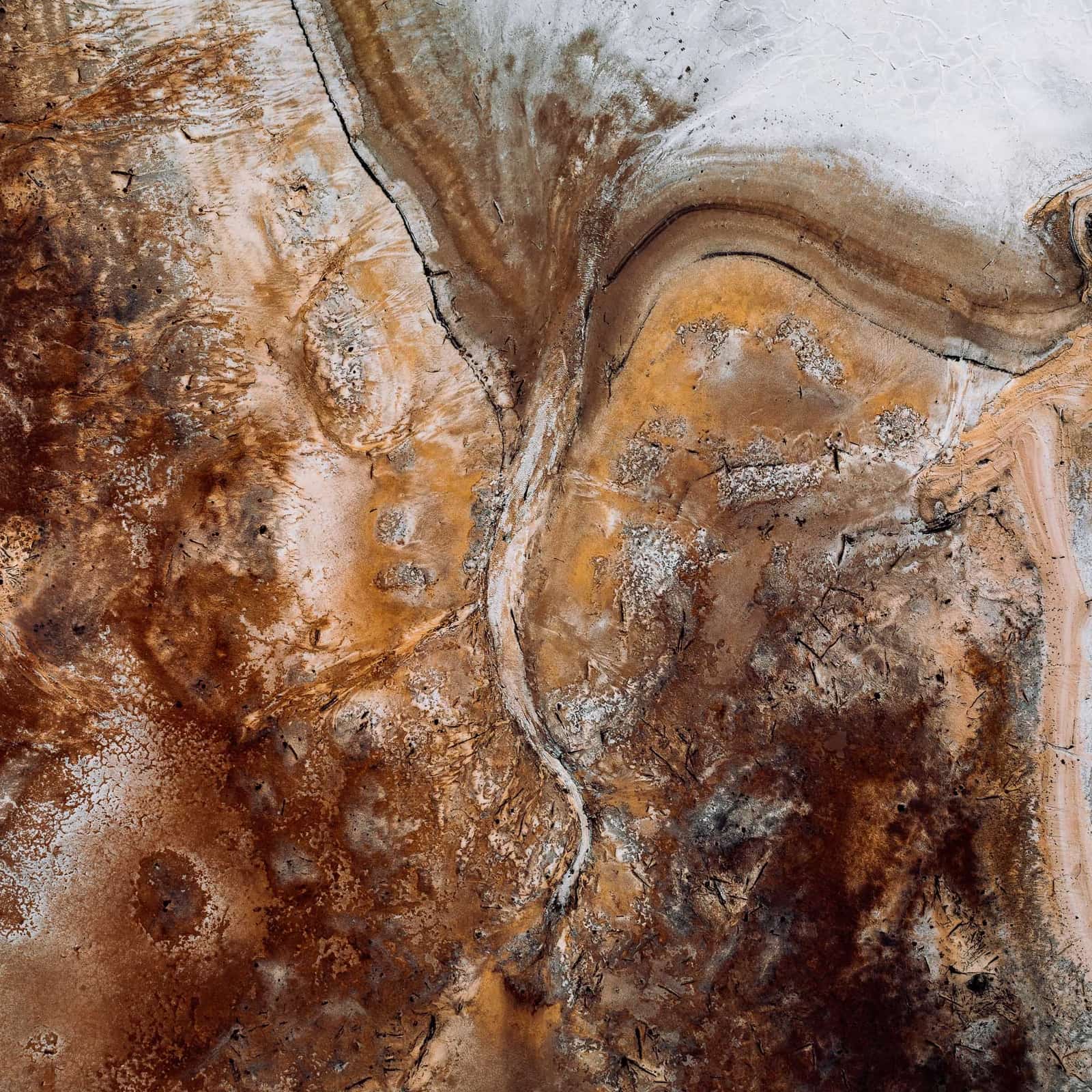 The Salt Pans Series