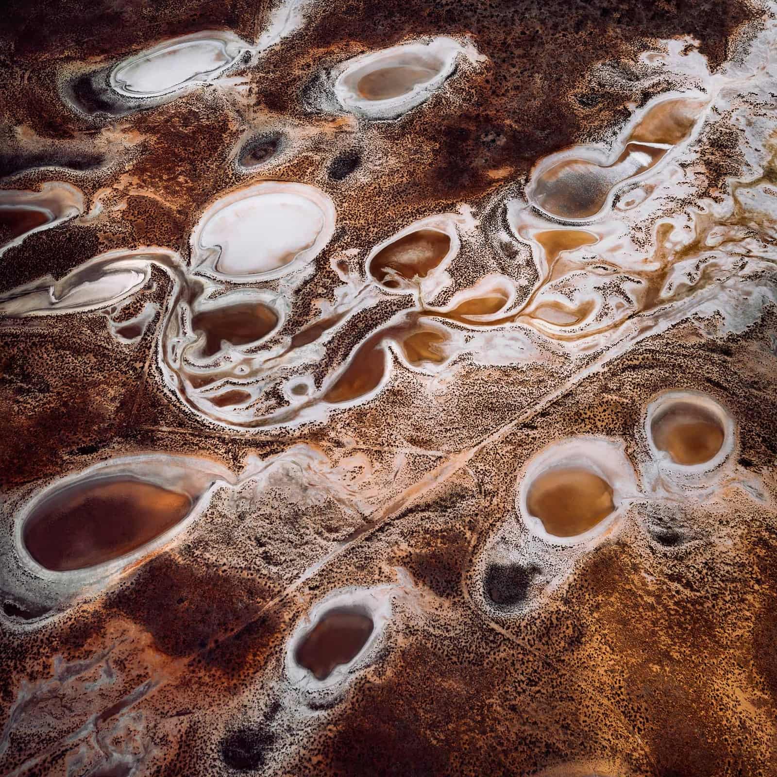 The Salt Pans Series