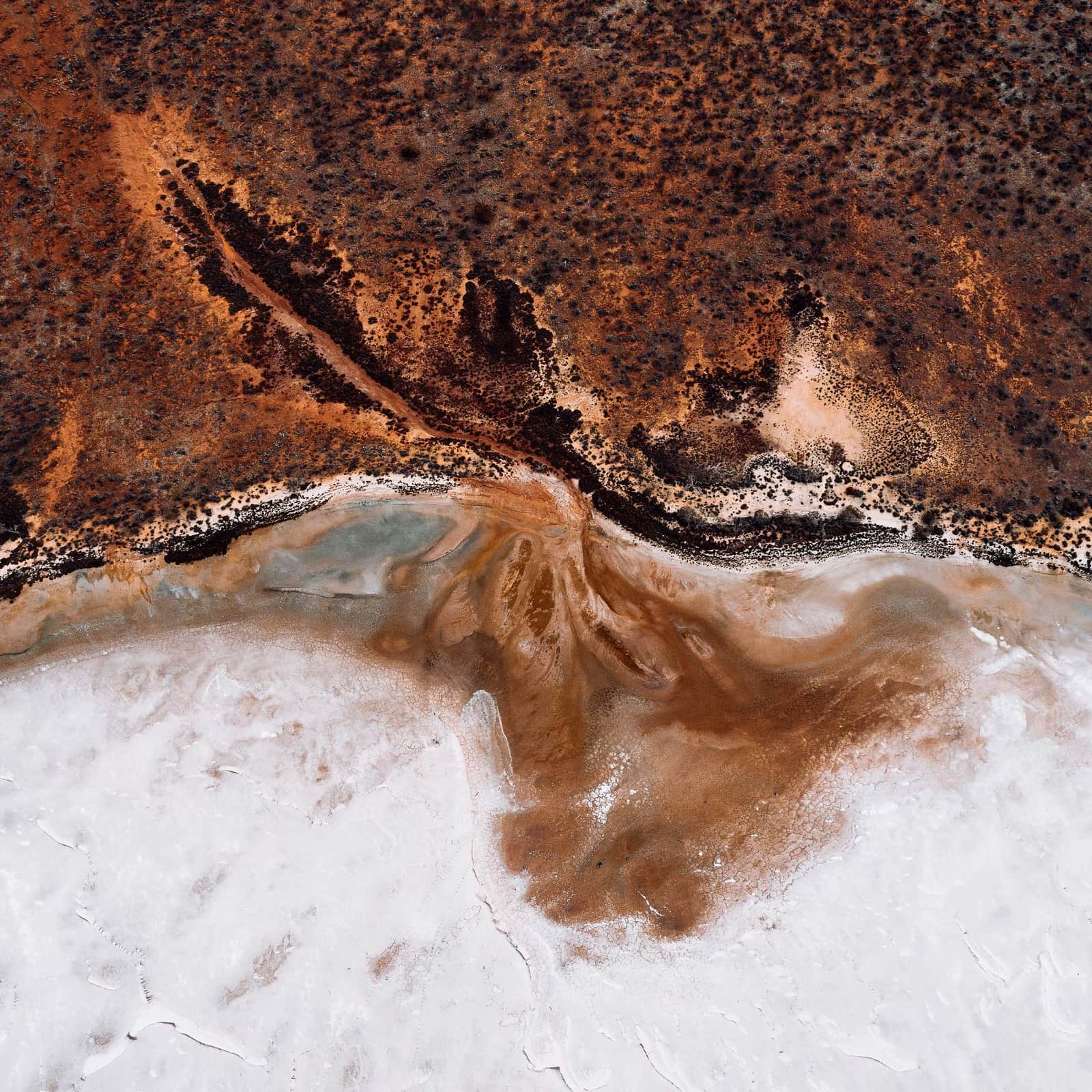 The Salt Pans Series