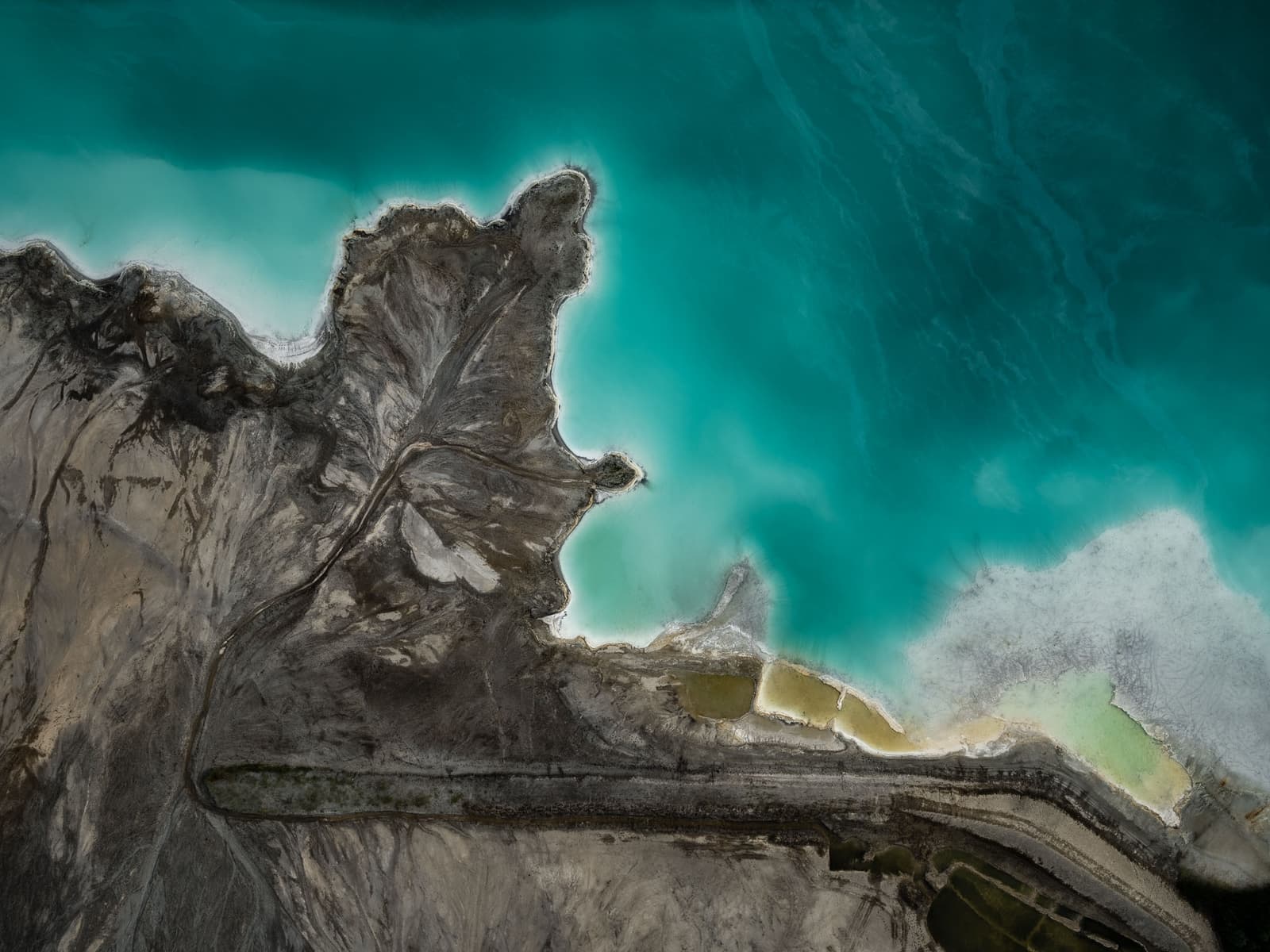 The Ash Pond Series Part 2