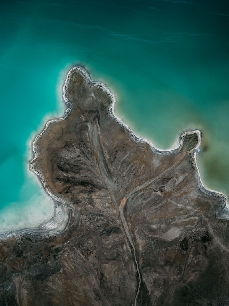 The Ash Pond Series Part 2