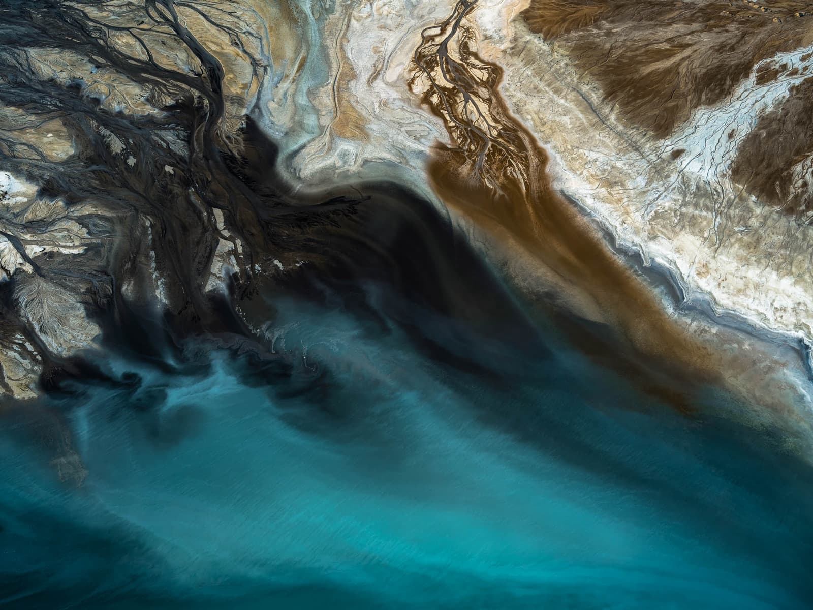 The Ash Pond Series Part 2