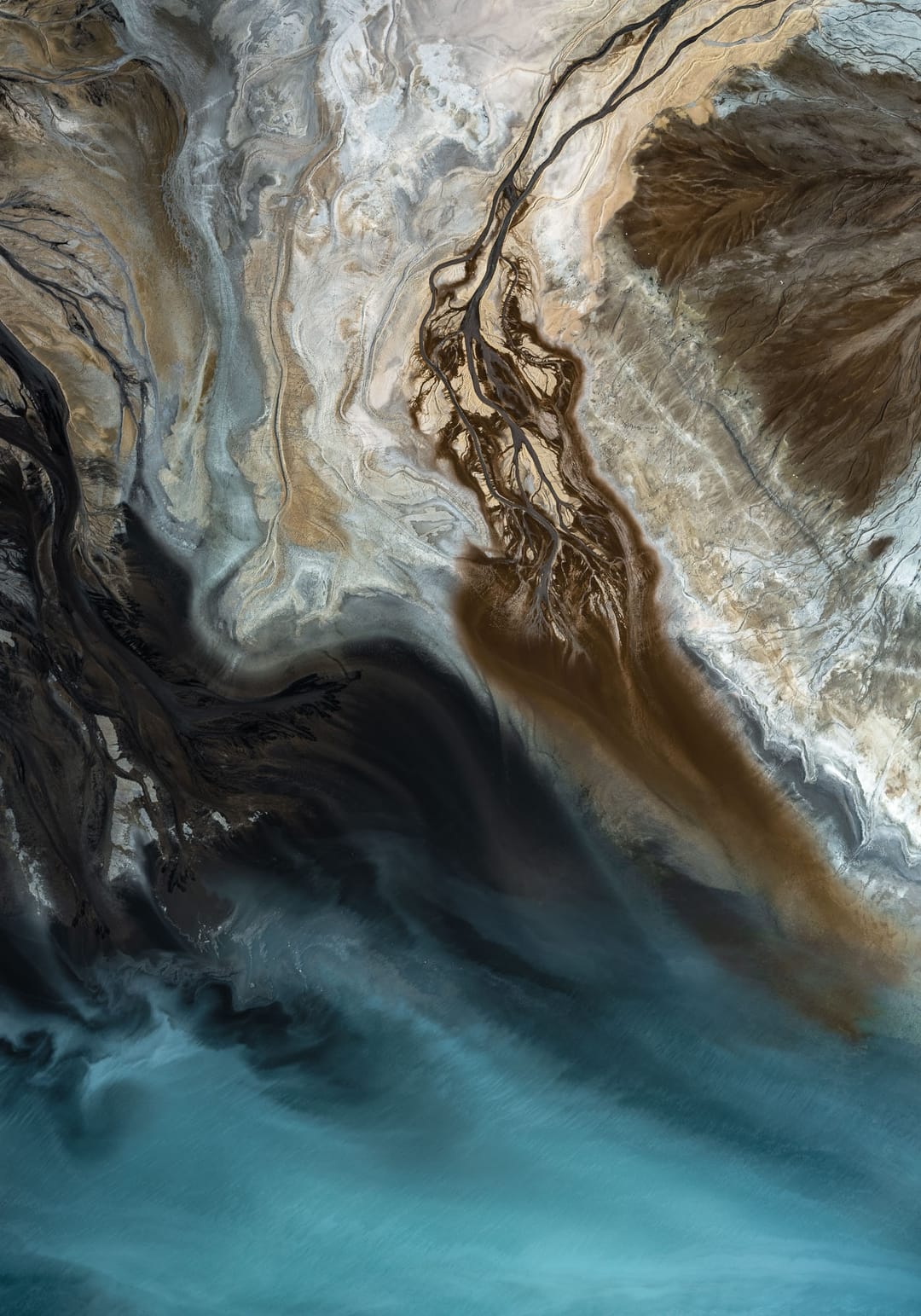 The Ash Pond Series Part 2