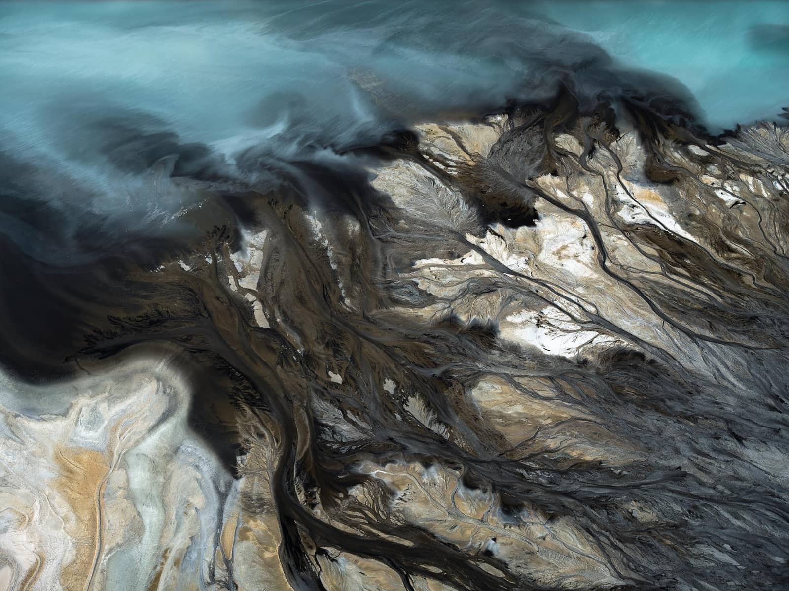 The Ash Pond Series Part 2