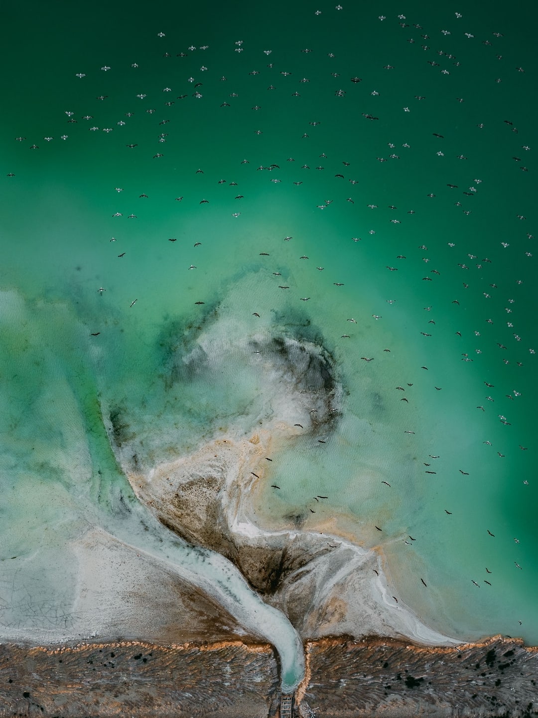 The Ash Pond Series Part 2