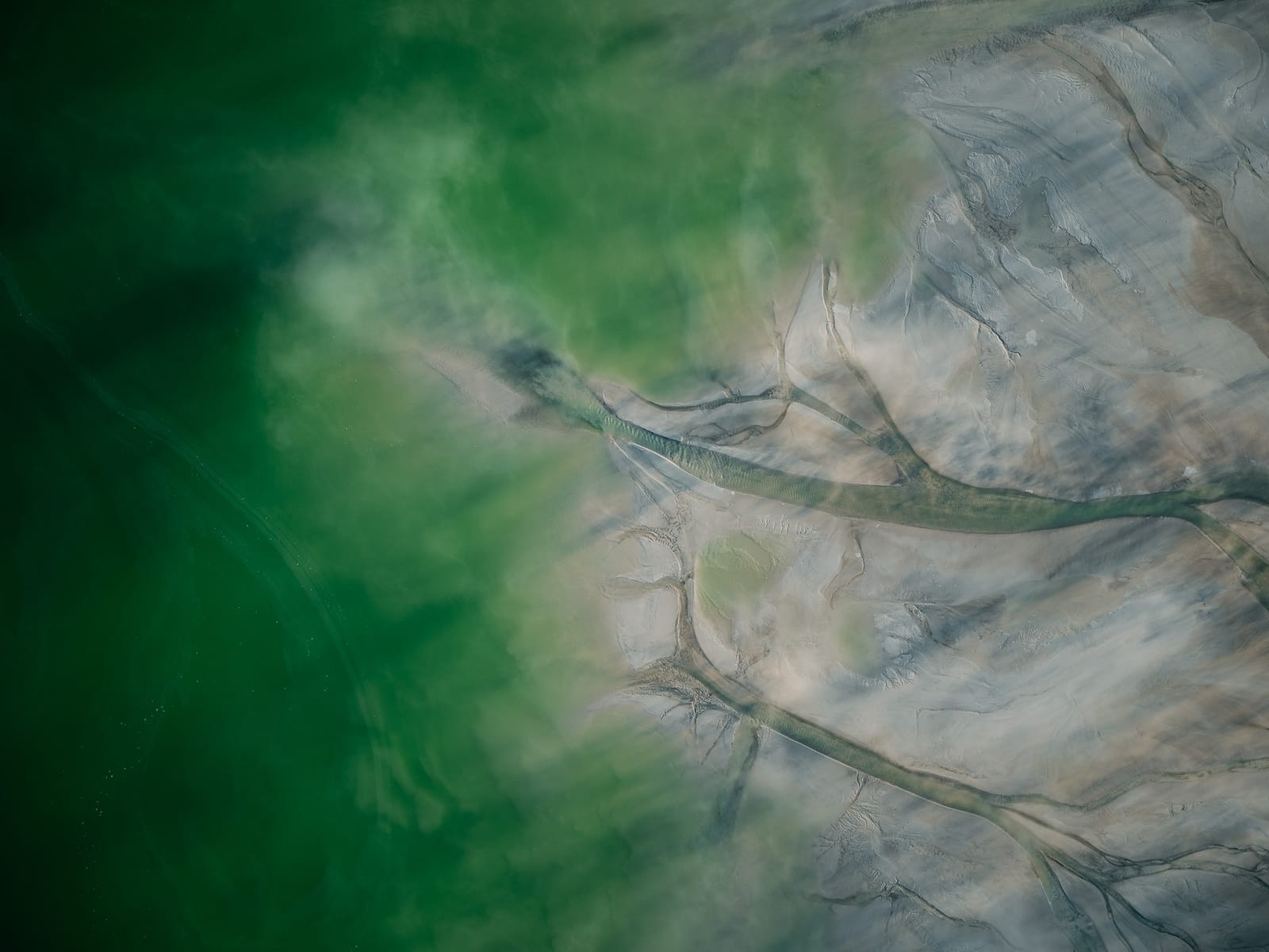 The Ash Pond Series Part 2