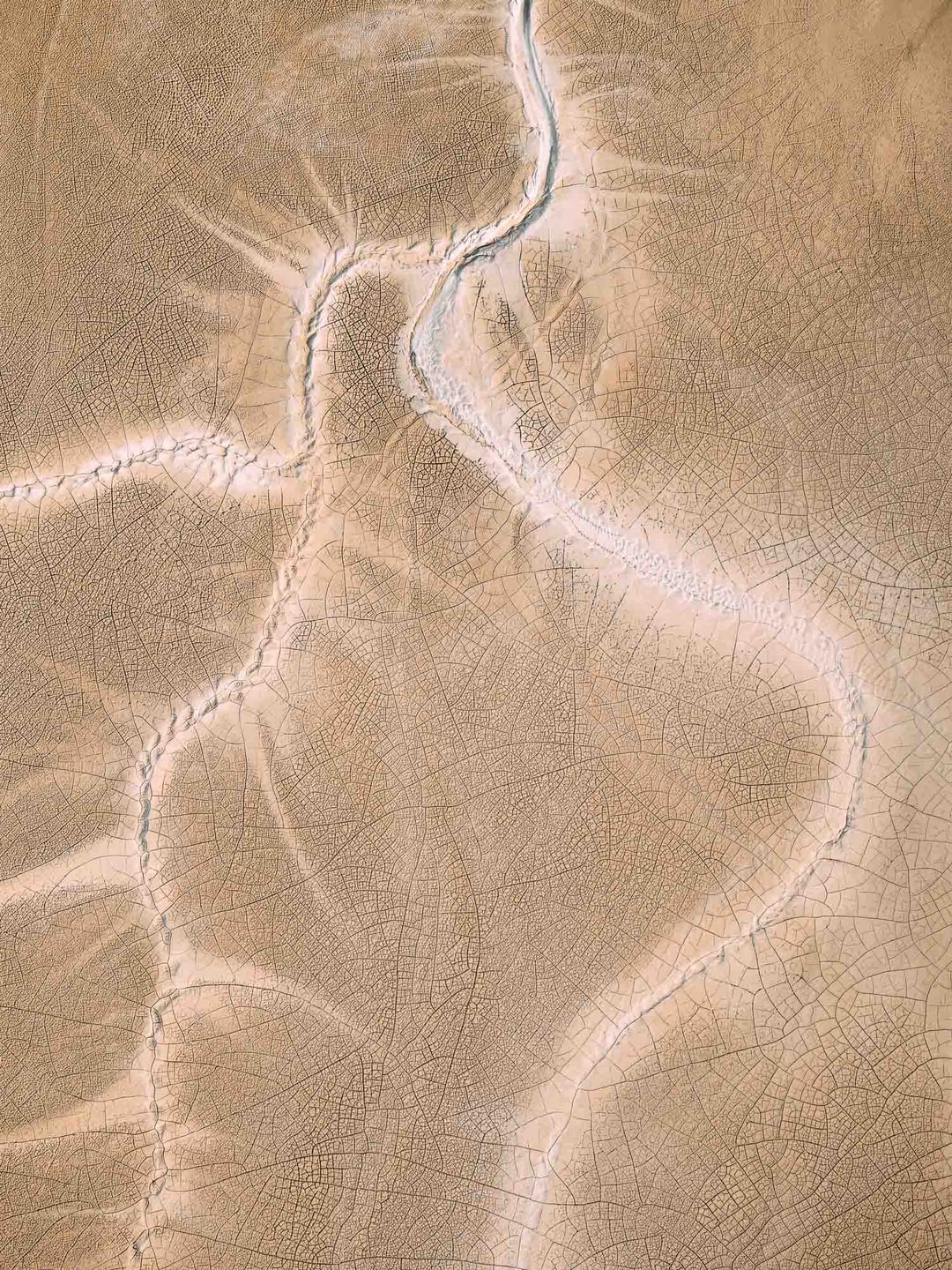 The Ash Pond Series Part 2