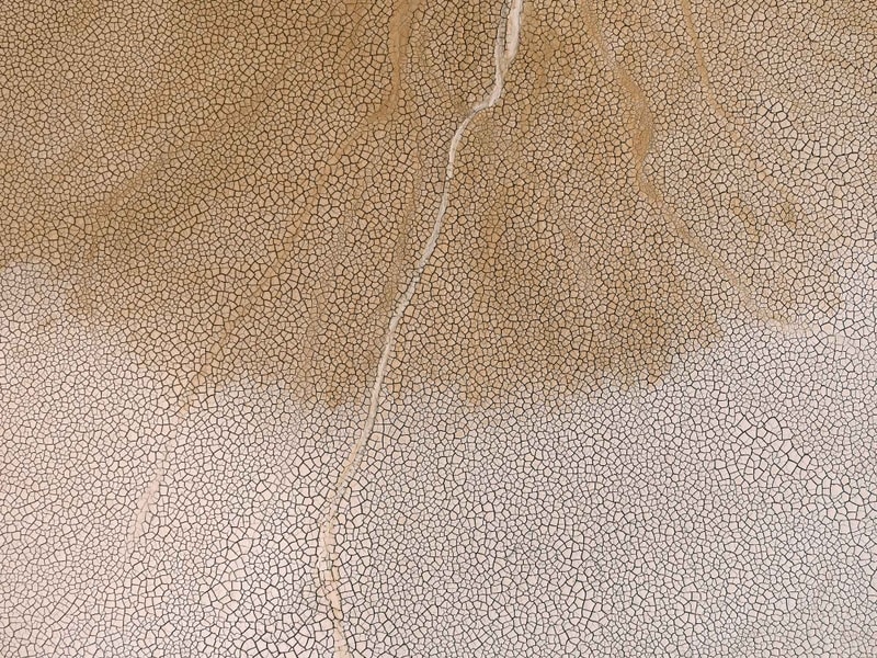 The Ash Pond Series Part 2