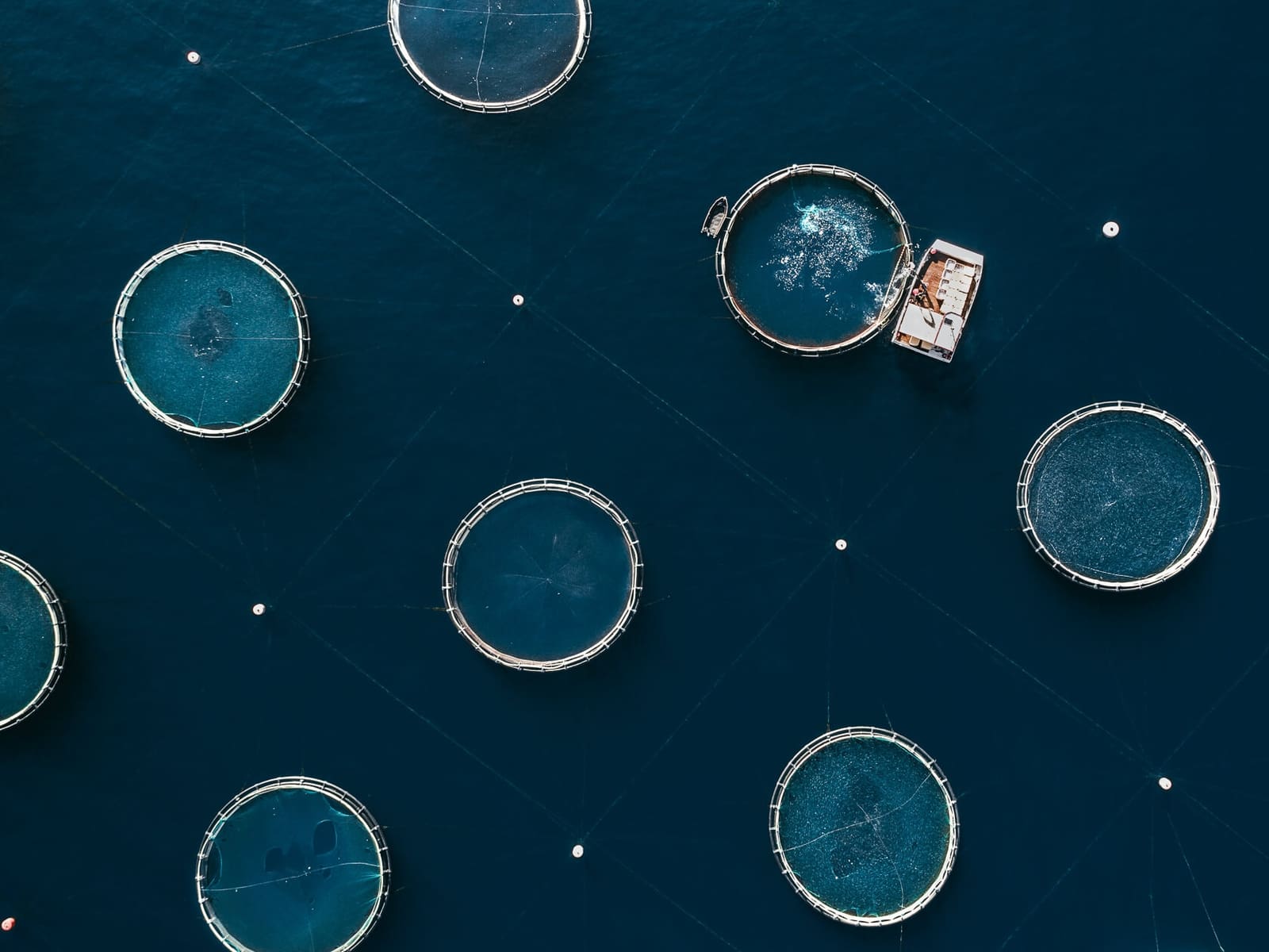 Tom Hegen — Aerial Photographer