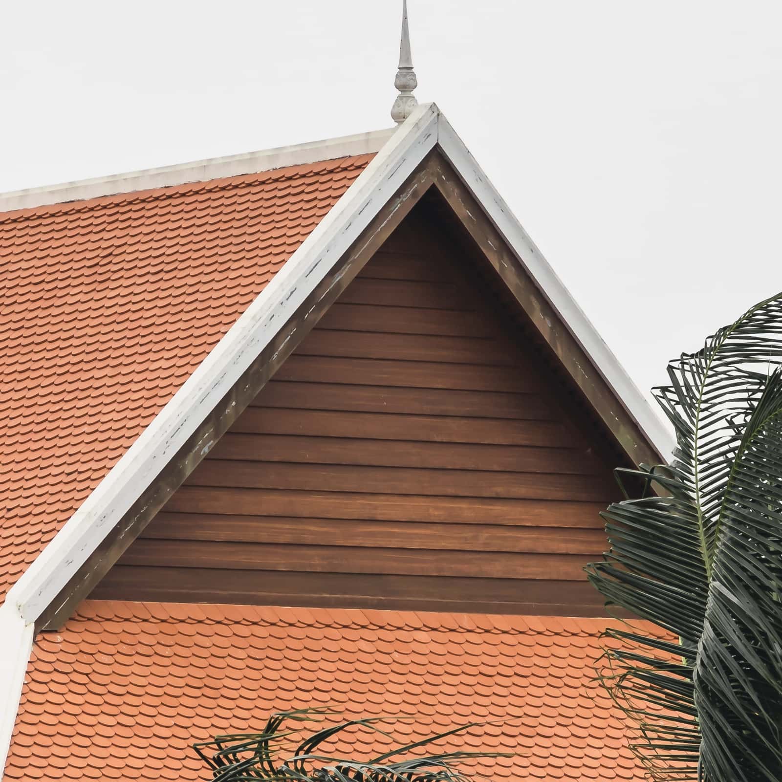 The Roof