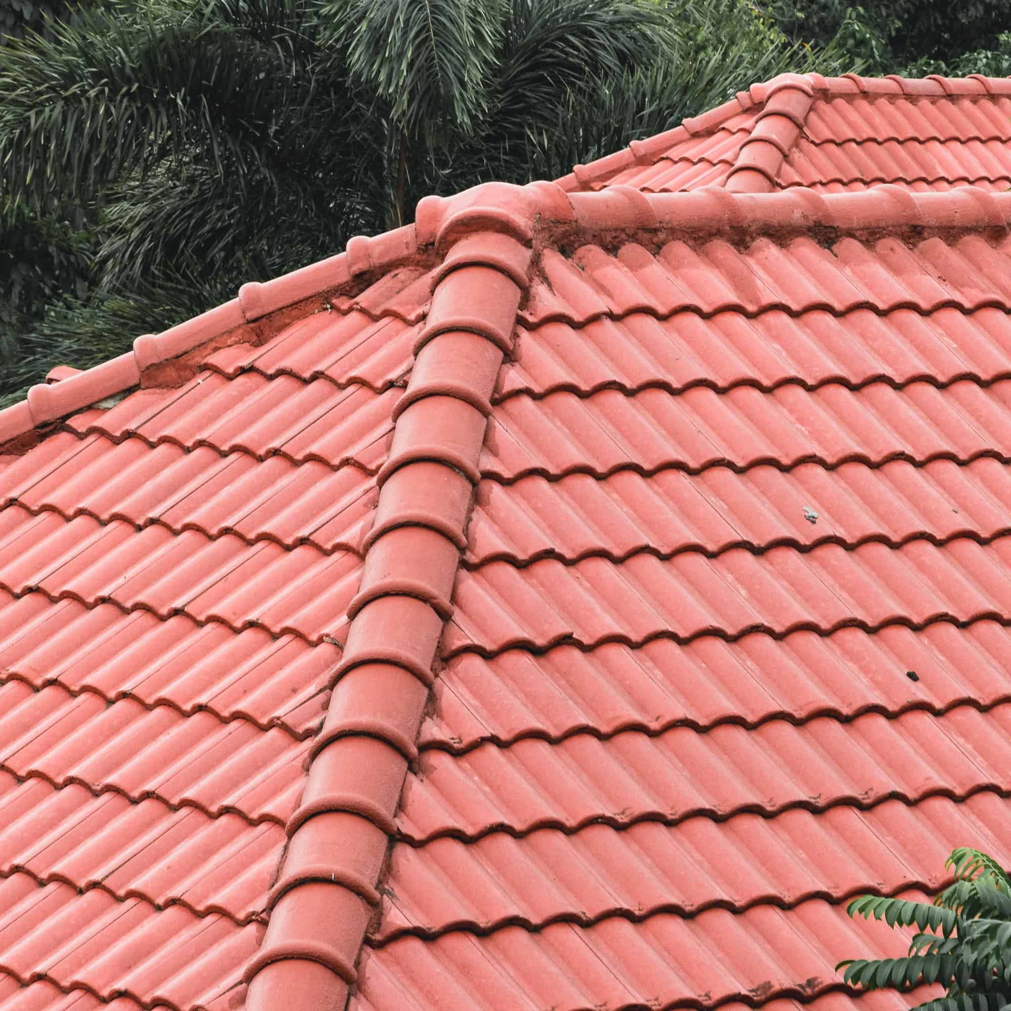 The Roof KH
