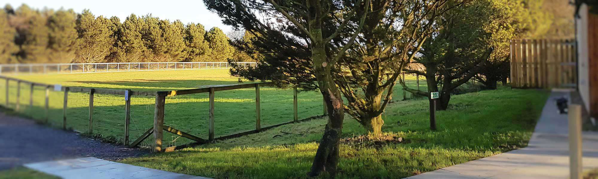 Get to know us at Moss Croft Country Kennels.