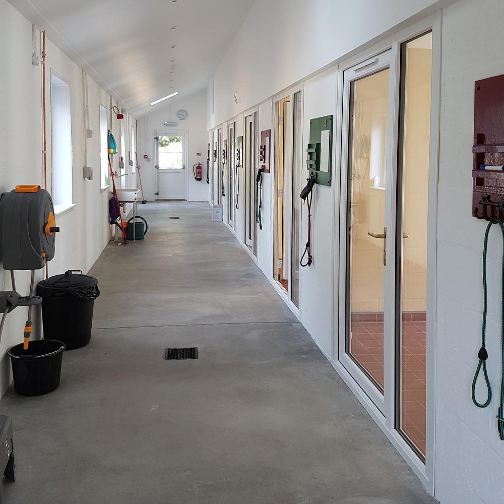 See how special Moss Croft Country Kennels is.