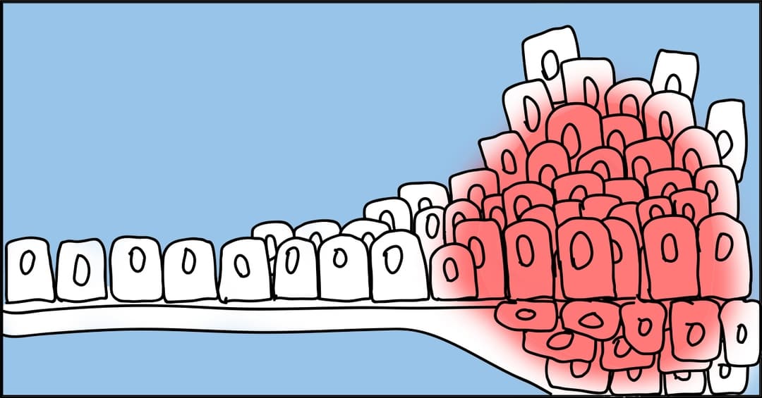 Abalone Bio | Activating therapeutic biology