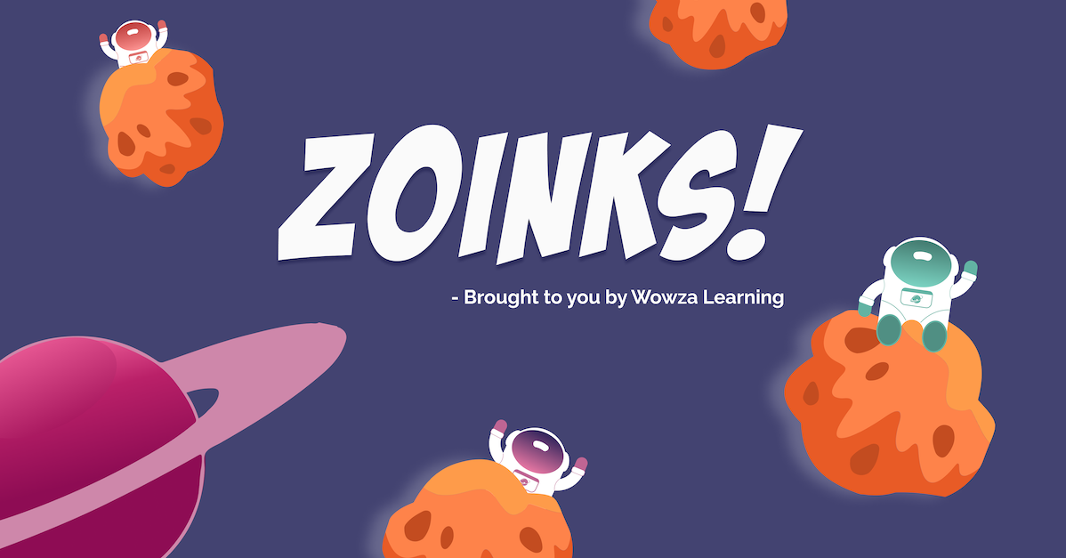Wowza Learning | Digital Learning Games | Zoinks!