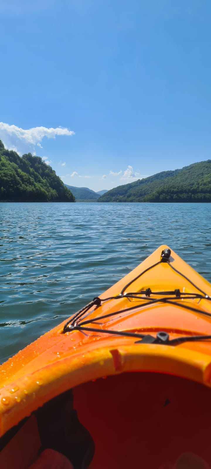 Flatwater Kayaking. Sport de aventură. Descoperă natura neatinsă!
