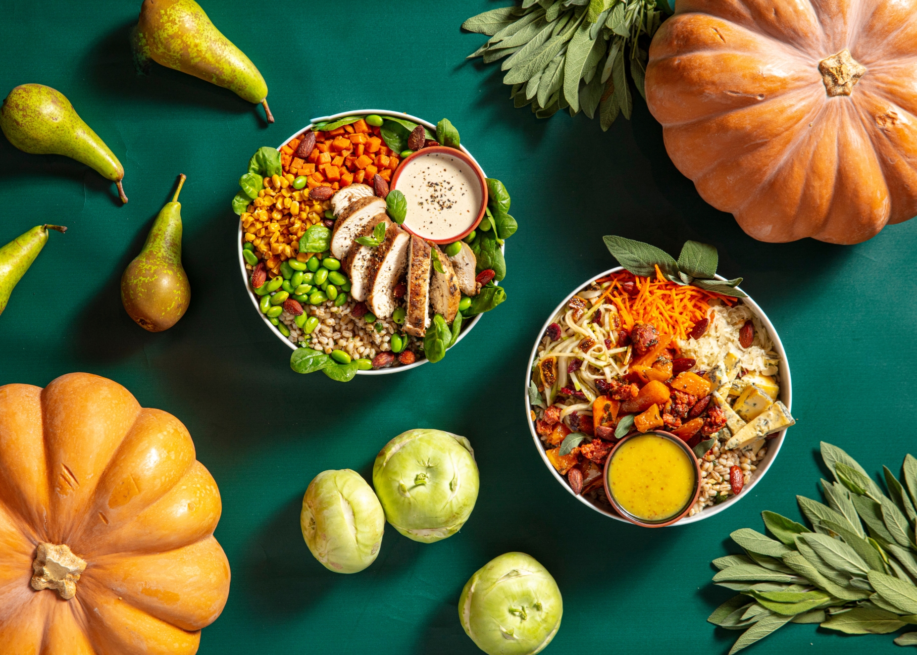 Home | The Salad Project