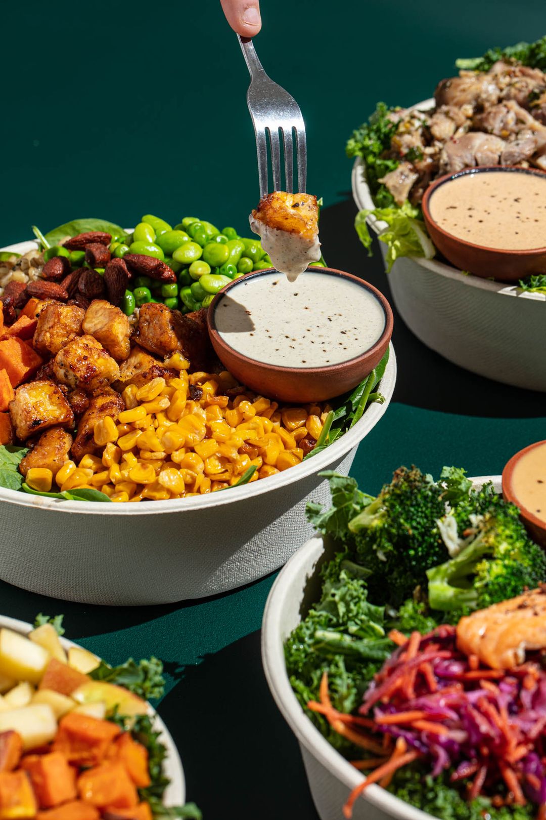 Home | The Salad Project