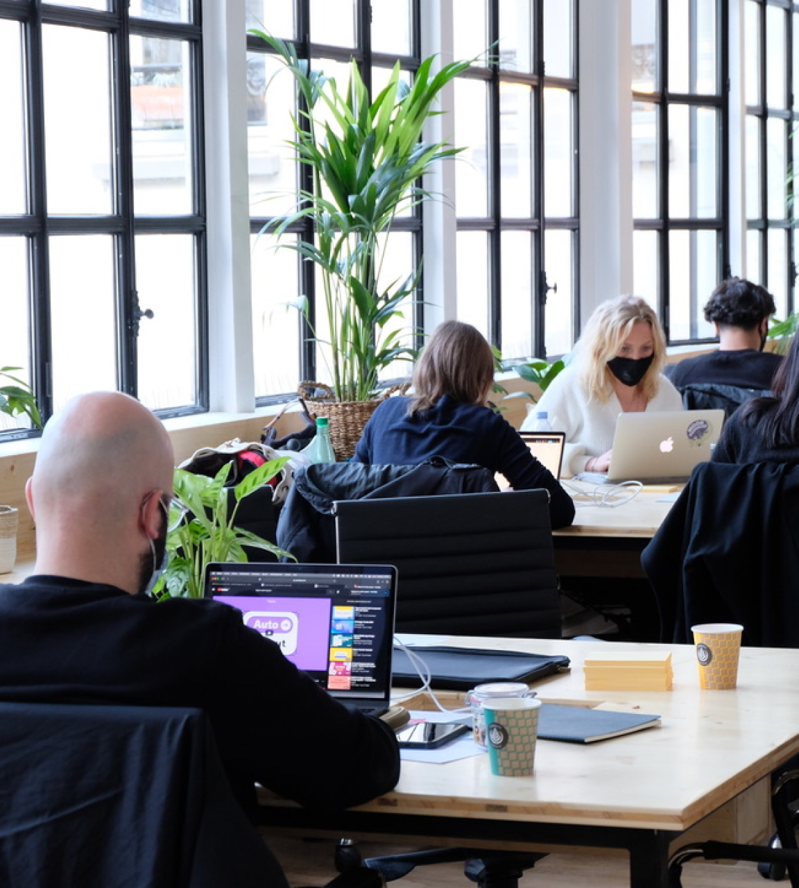 The Design Crew | Bootcamp - Devenez Product Designer