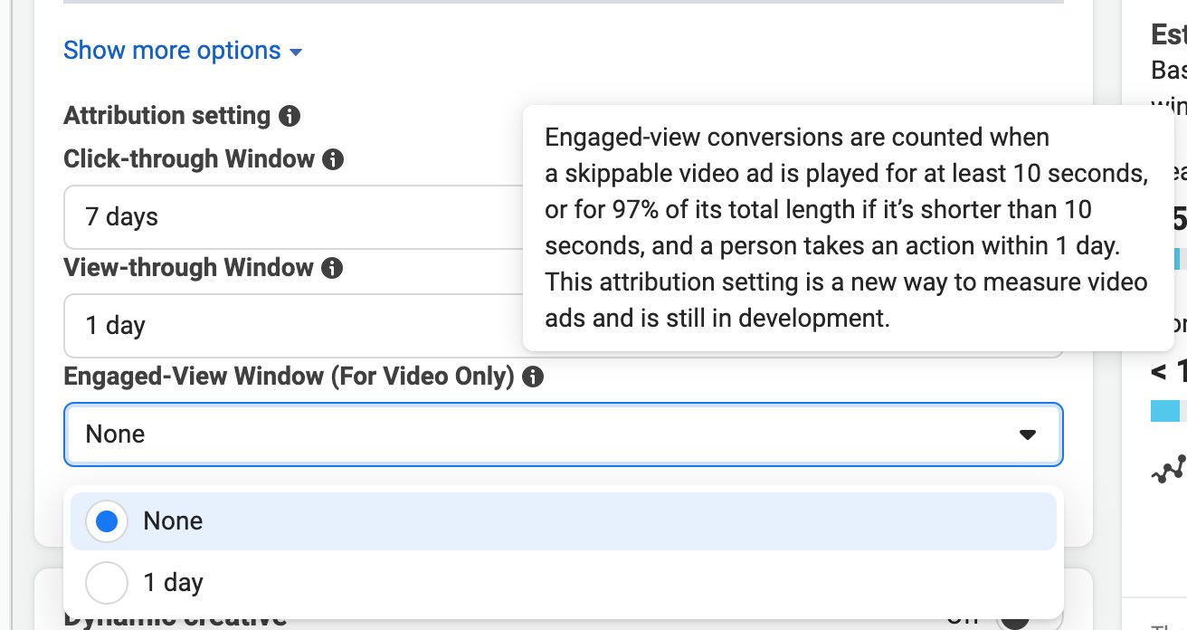 All about Meta’s 1-day engaged View Attribution