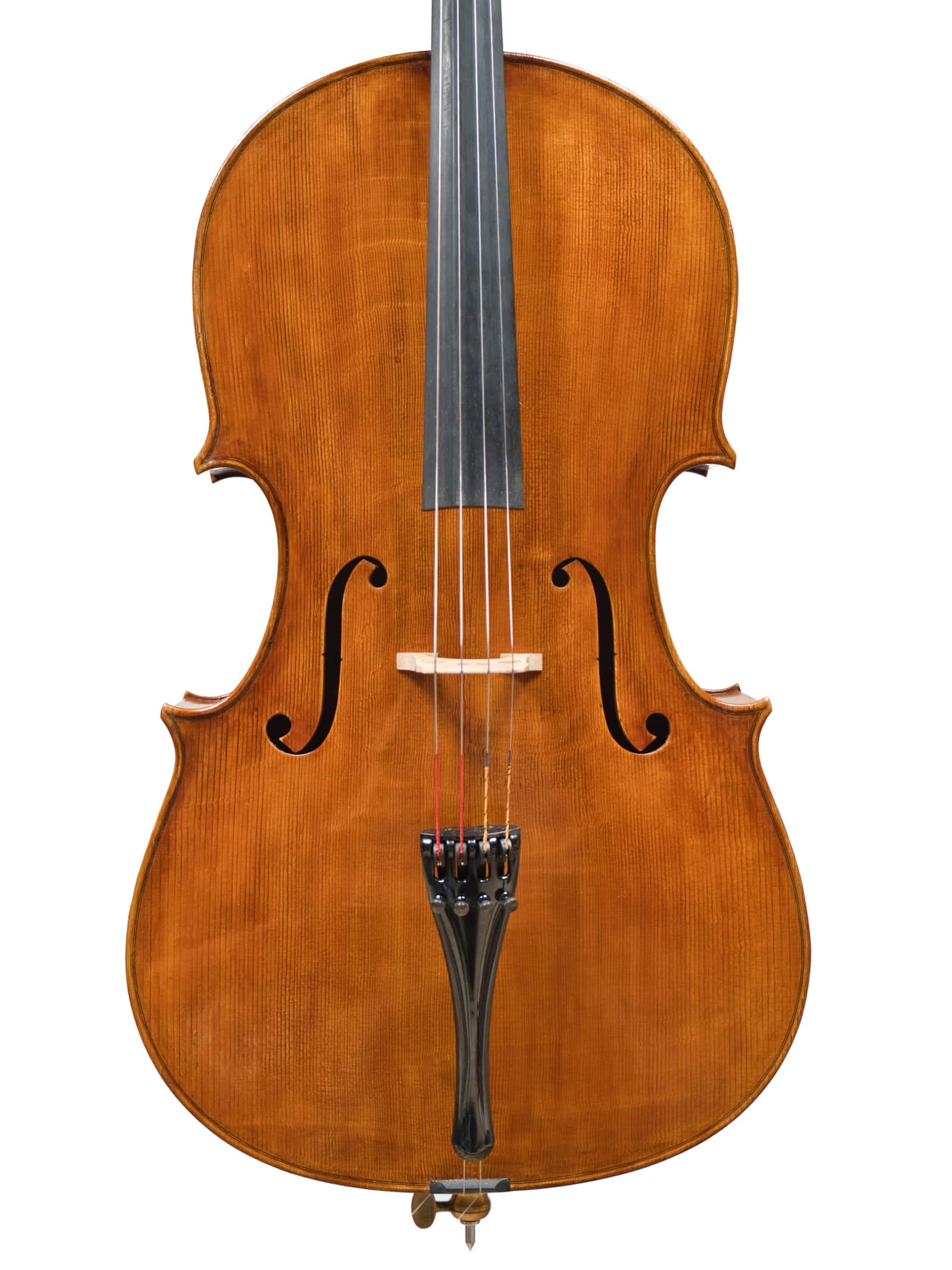 Cellos for Sale in London | MyLuthier Contemporary Cellos