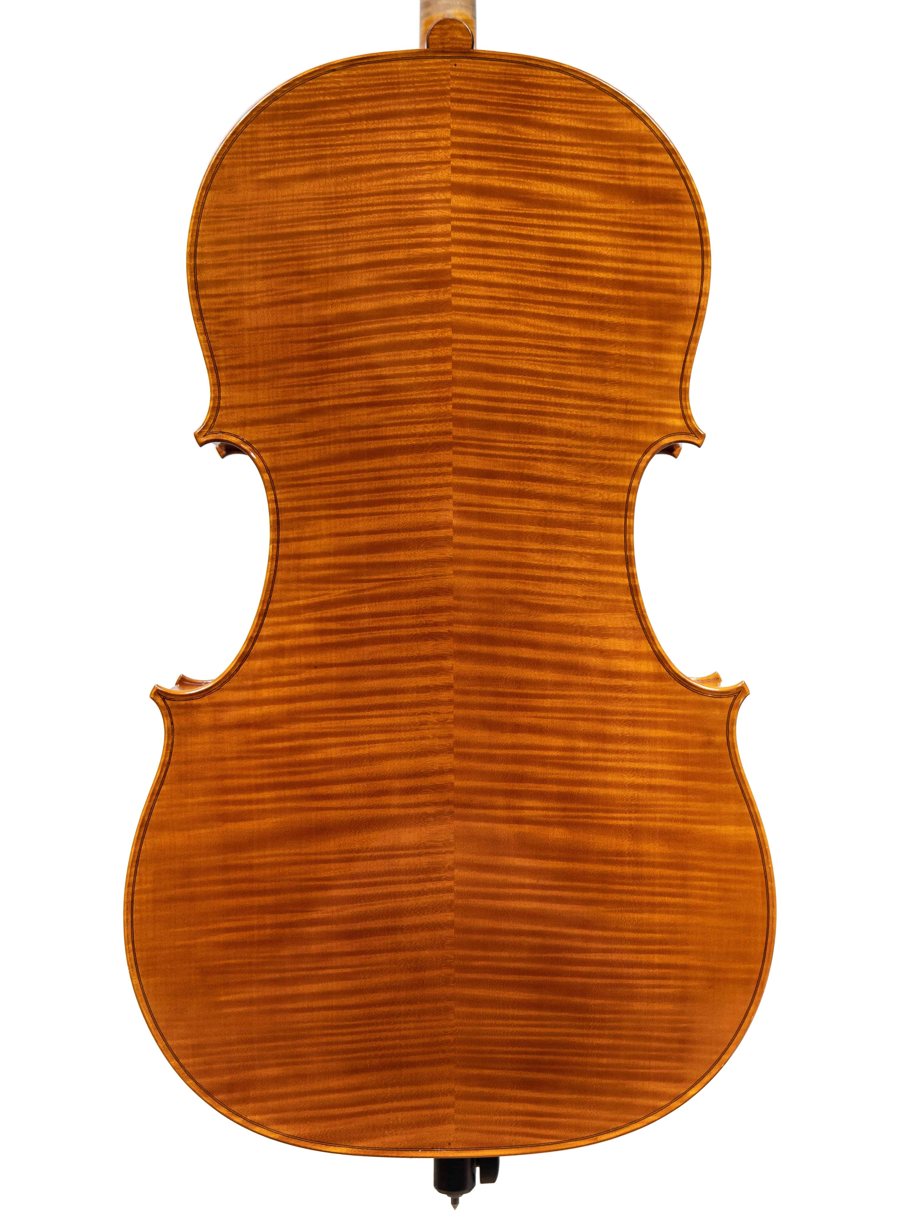 Cello by Francesco Toto, 2017 - MyLuthier