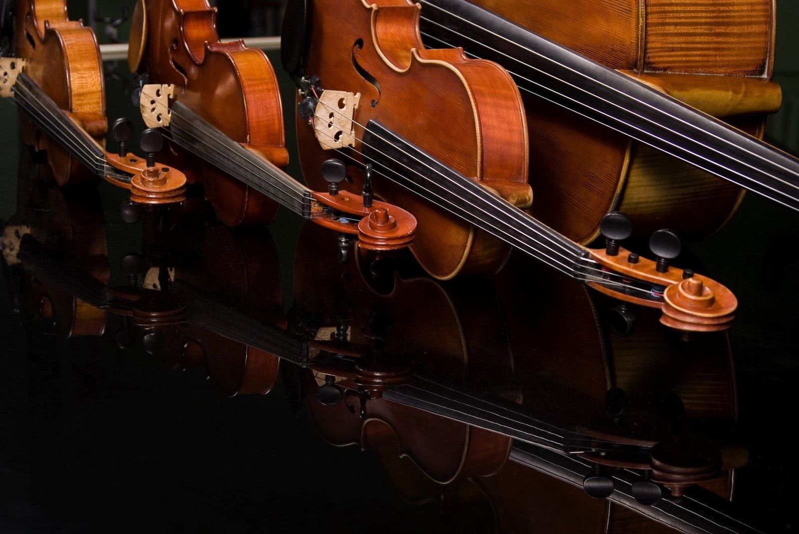 MyLuthier London Violin Dealers | Fine Violins For Sale