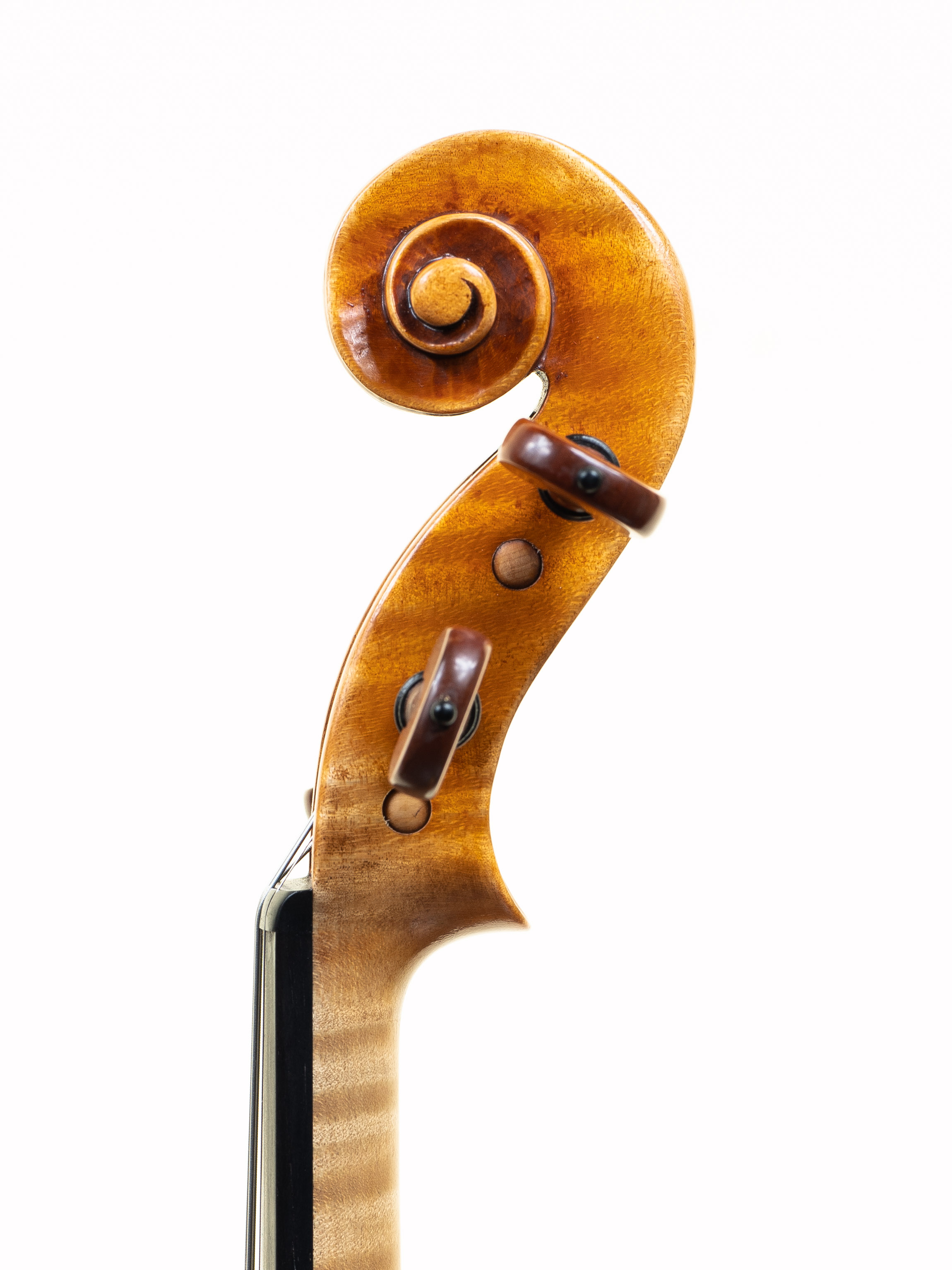 Cremonese Violin by Mina Mazzolari, 2022 - MyLuthier