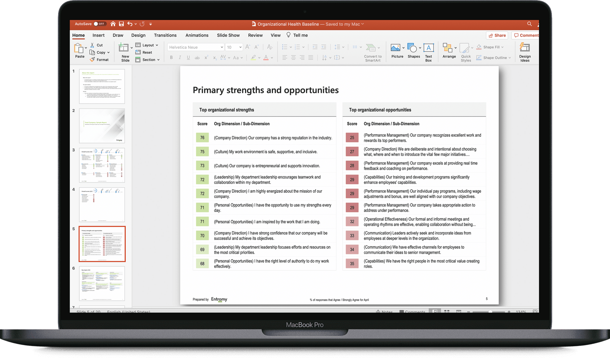 Organizational Assessment Platform - Entromy