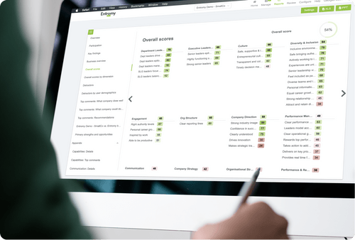 Organizational Assessment Platform - Entromy