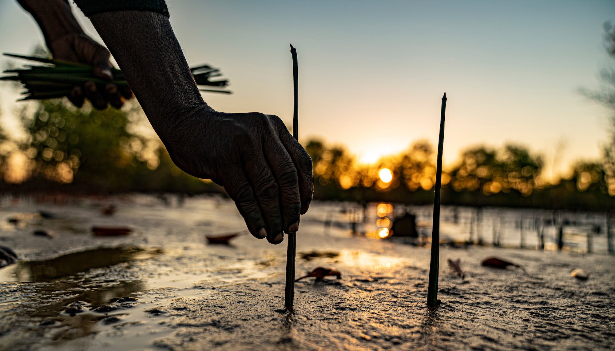 Climate Action Made Easy And Effective