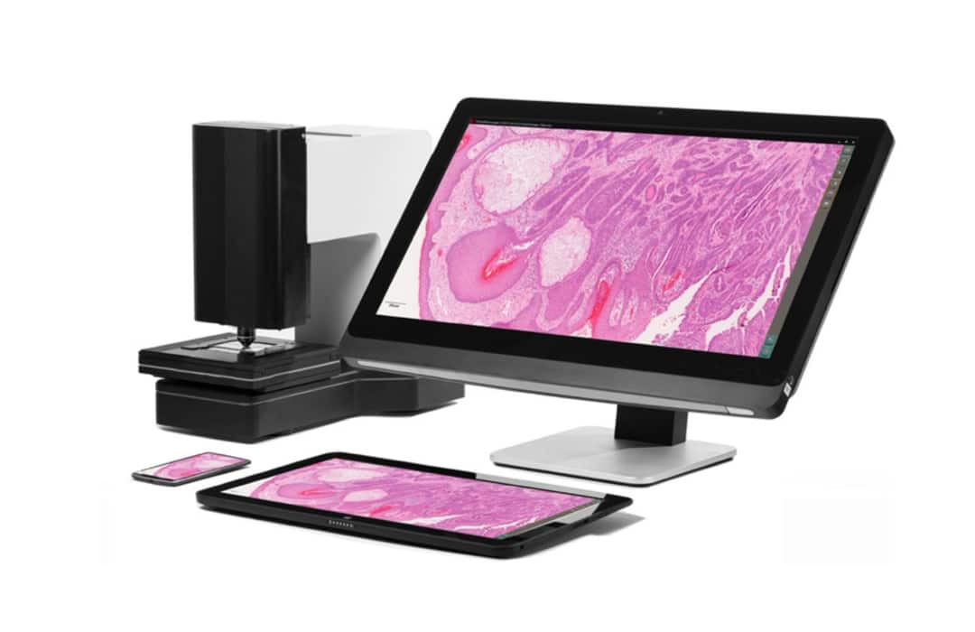 Distribuidor oficial Biocare en México.